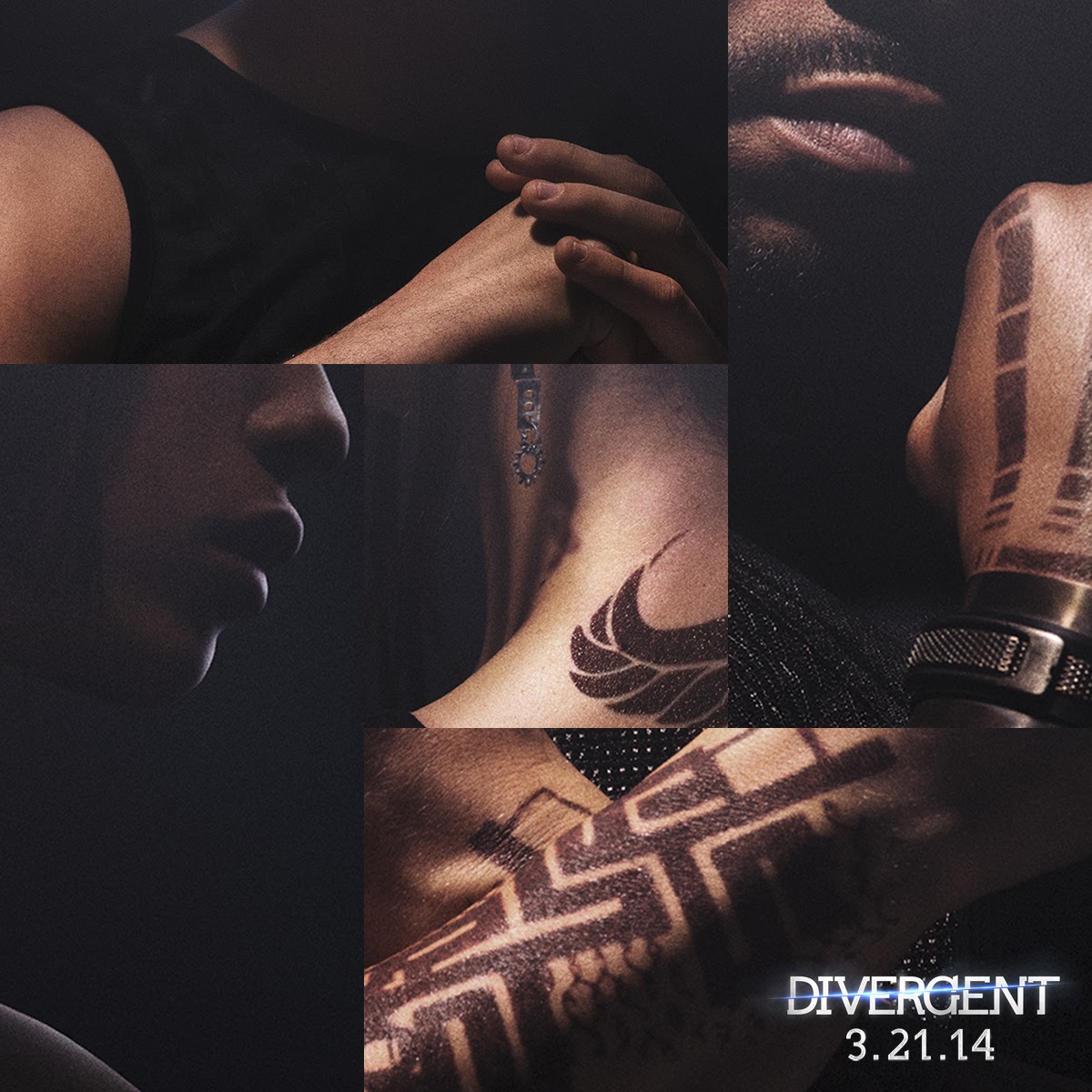 The Divergent Life: Divergent Fan Site Exclusive: Official Sneak Peek ...